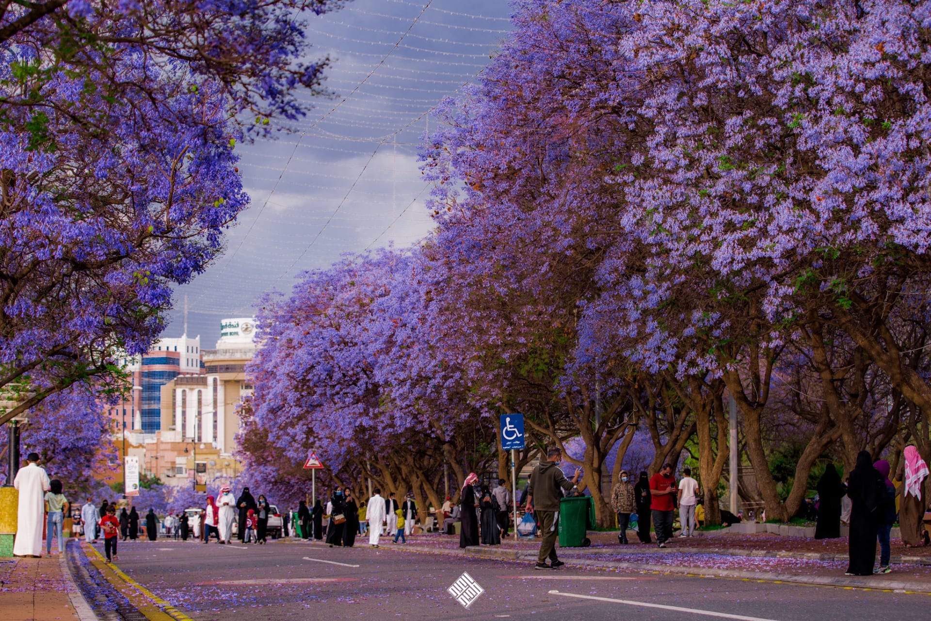 The most beautiful tourist attractions in Abha - قافلة التوحيد